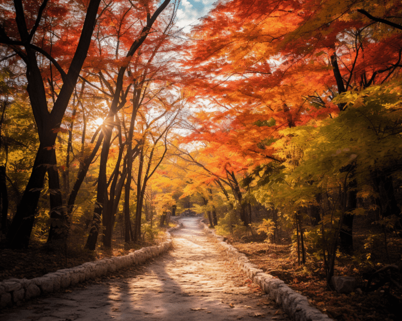 Weather in Mexico in October: When is the Best Time Travel?