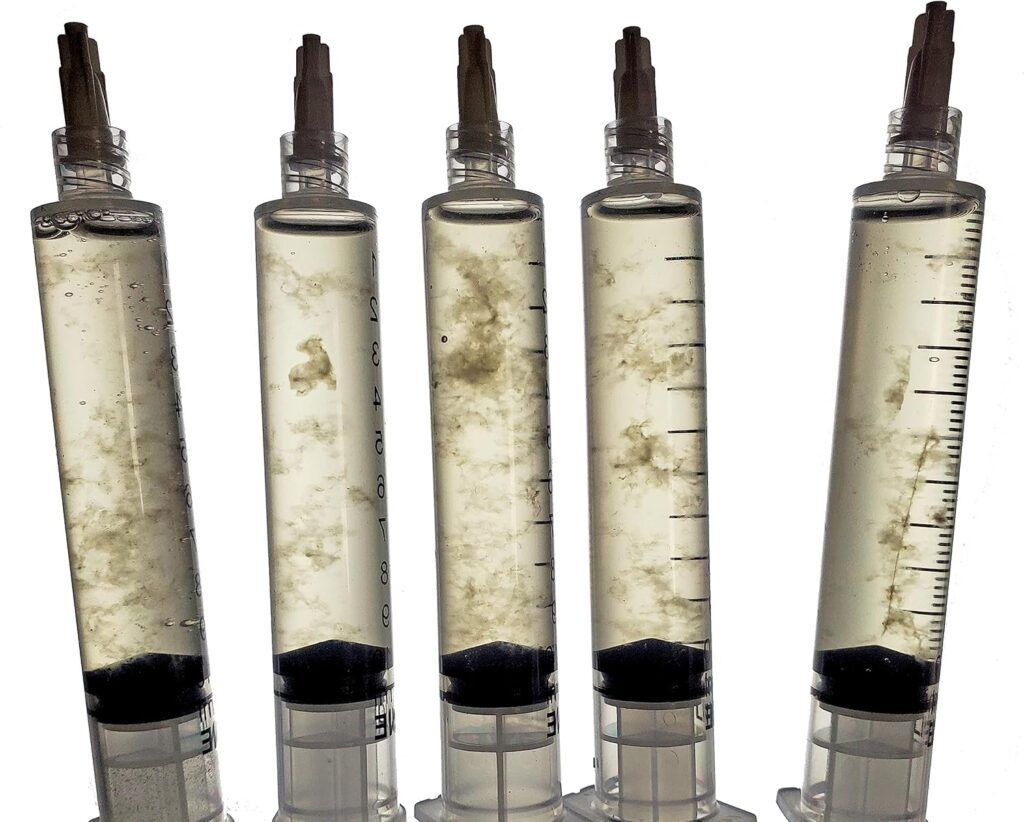 A Complete Guide to Mushroom Growing on Trees + Spores